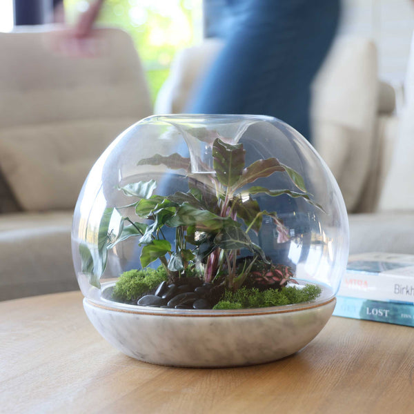 Botanica Boutique - Biodome