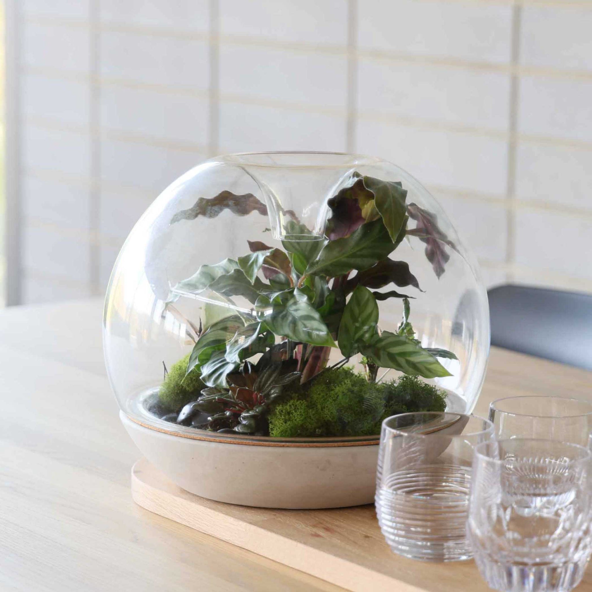 Botanica Boutique - Biodome